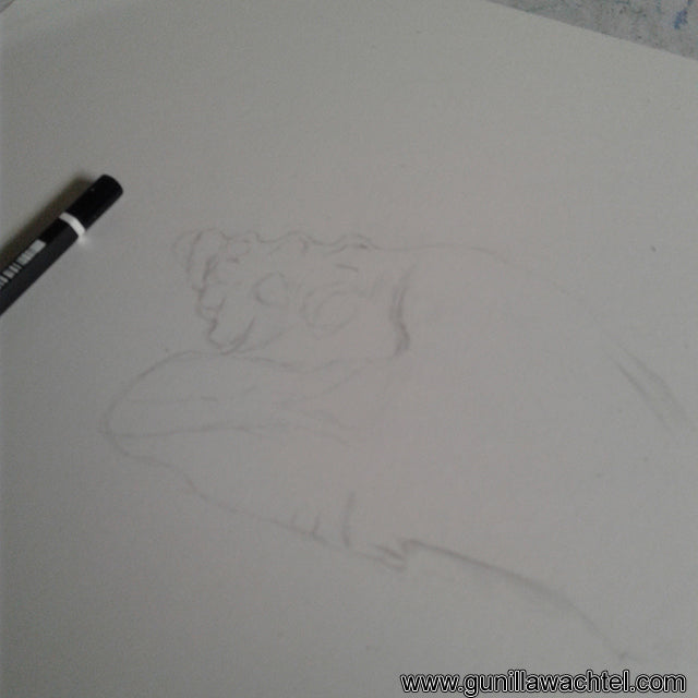 Artwork in Progress - Conch Shell Drawing – Gunilla Wachtel